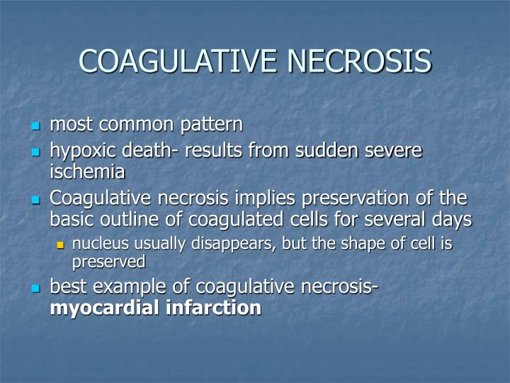 PPT - Cell injury:necrosis, apoptosis. Adaptations:atrophy, hypertrophy ...