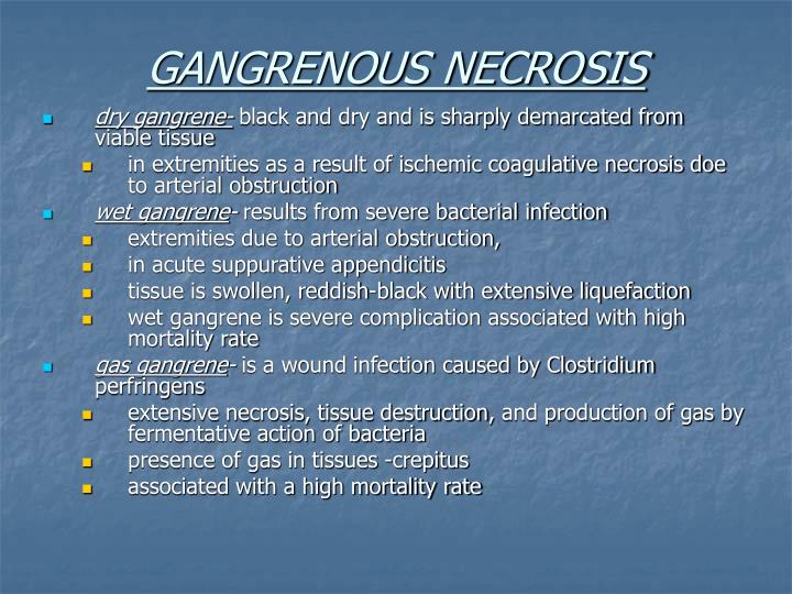 PPT - Cell injury:necrosis, apoptosis. Adaptations:atrophy, hypertrophy ...