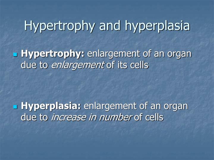 PPT - Cell injury:necrosis, apoptosis. Adaptations:atrophy, hypertrophy ...