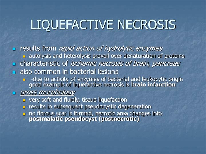 PPT - Cell injury:necrosis, apoptosis. Adaptations:atrophy, hypertrophy ...