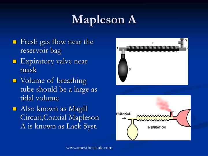 PPT - Breathing Circuits PowerPoint Presentation - ID:758829