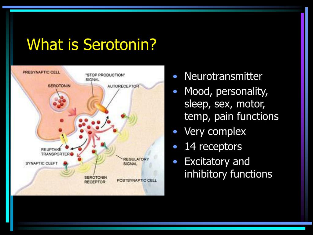 PPT - Serotonin syndrome : A literature review of therapeutic options ...