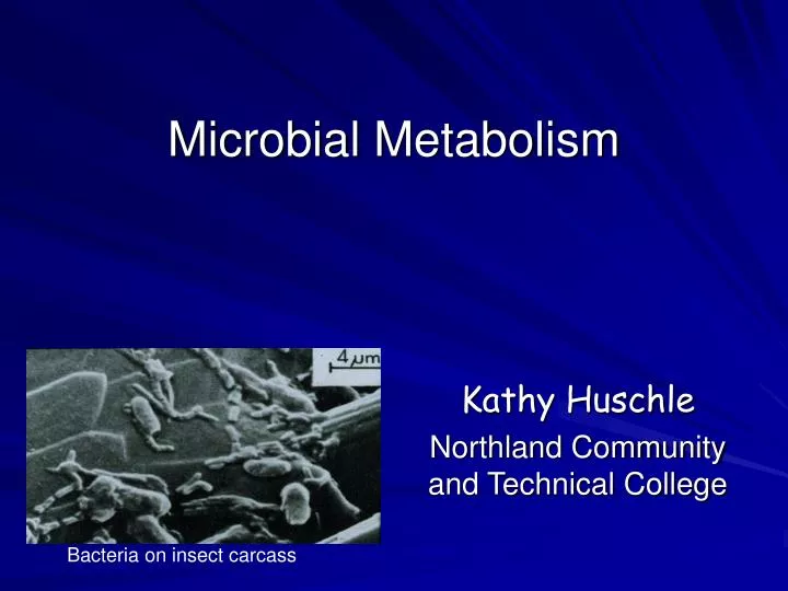 PPT - Microbial Metabolism PowerPoint Presentation, free download - ID ...