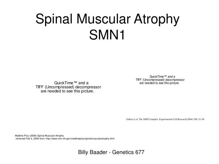 Ppt Spinal Muscular Atrophy Smn1 Powerpoint Presentation Free