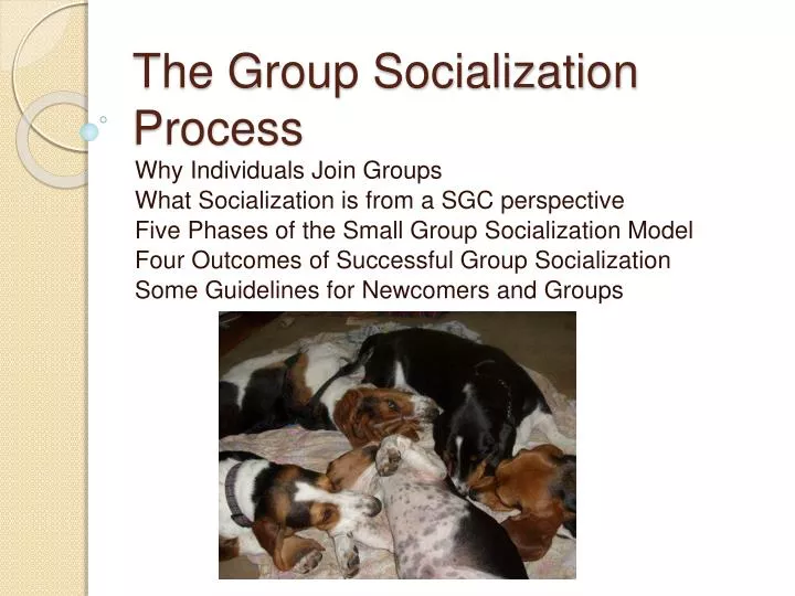 PPT - The Group Socialization Process PowerPoint Presentation, free ...