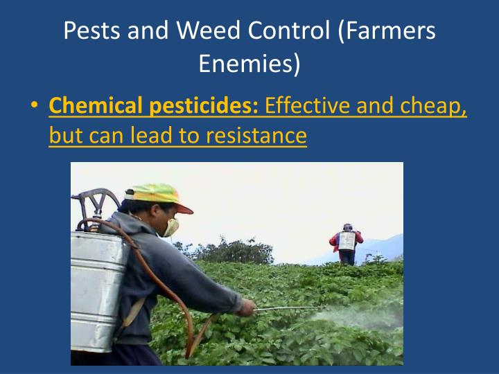 PPT - Chapter 12 Soil and Agriculture PowerPoint Presentation - ID:760985