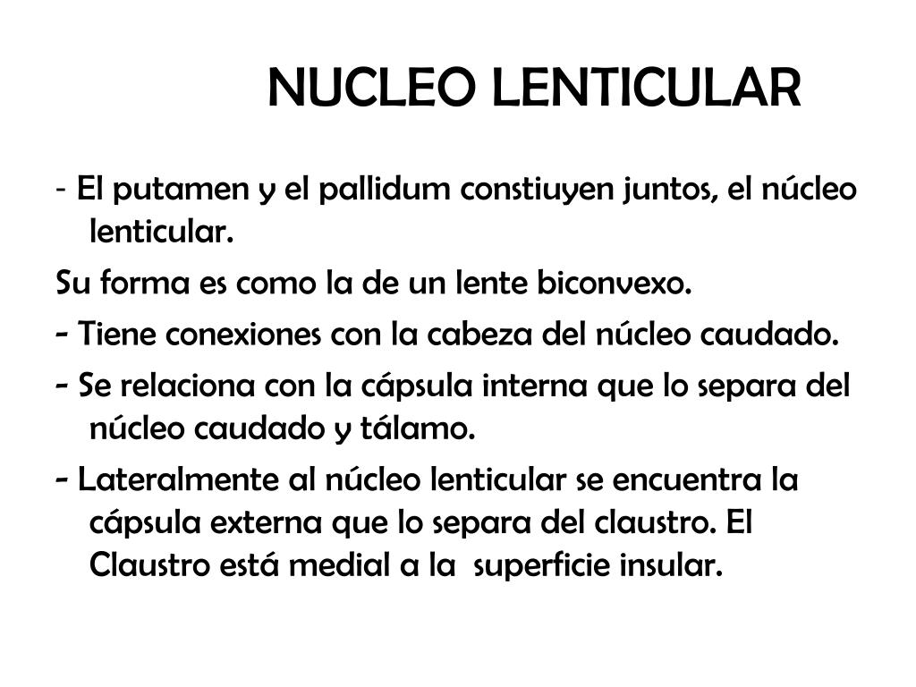 PPT - DIENCEFALO, GANGLIOS BASALES Y SISTEMA LIMBICO PowerPoint ...