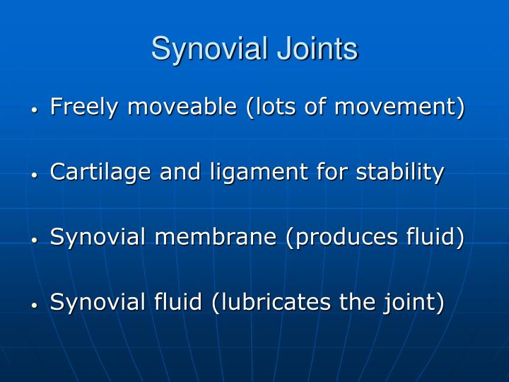 PPT - 2.2 Anatomy and Biomechanics PowerPoint Presentation - ID:761208