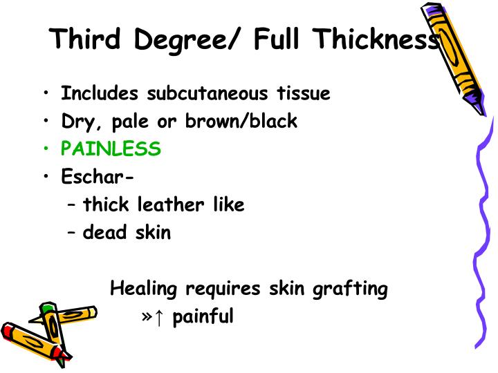 PPT - Infant and Toddler Growth and Development PowerPoint Presentation ...