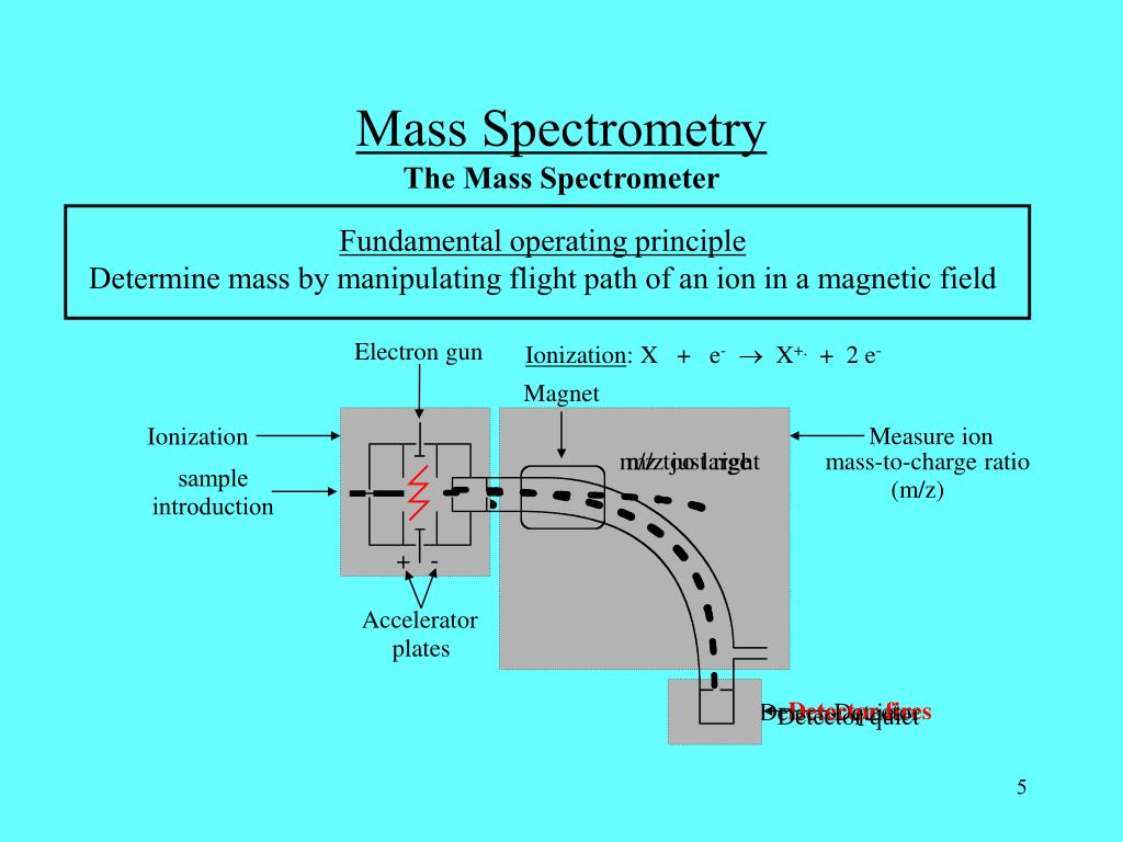 Mass Spectrometry Principle Pdf