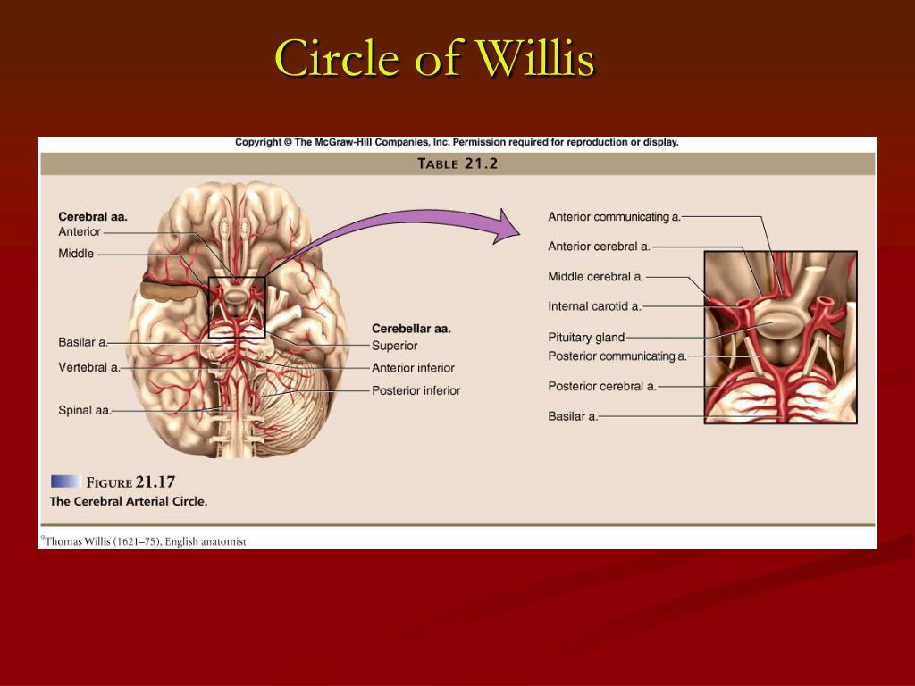 PPT - Chapter 21 PowerPoint Presentation, free download - ID:762038