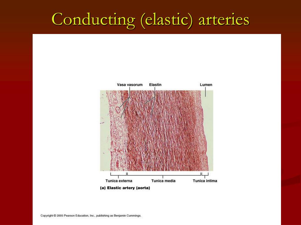 PPT - Chapter 21 PowerPoint Presentation, free download - ID:762038