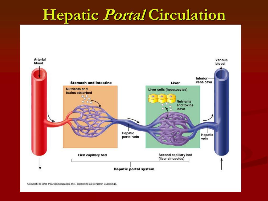 PPT - Chapter 21 PowerPoint Presentation, free download - ID:762038