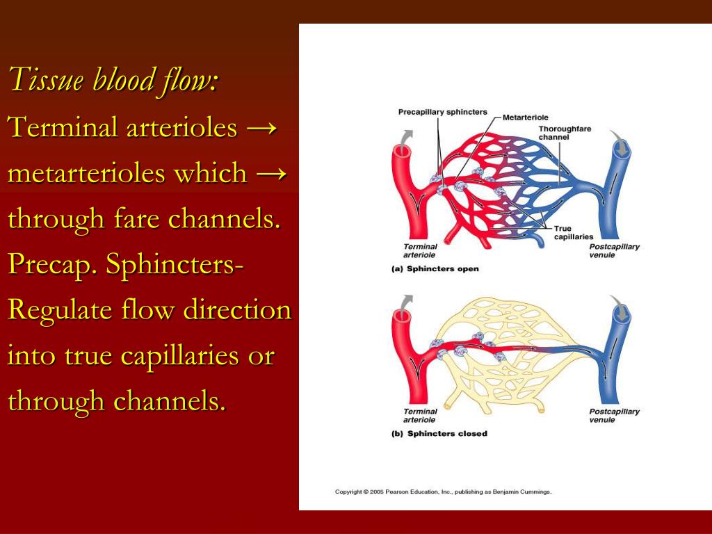 PPT - Chapter 21 PowerPoint Presentation, free download - ID:762038