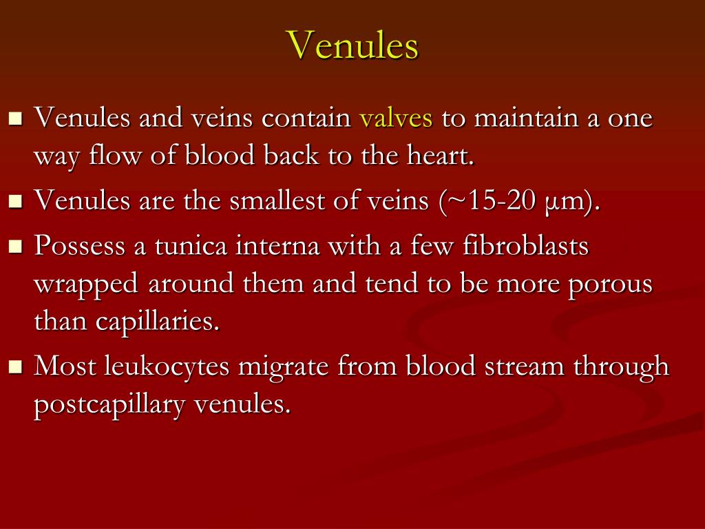 PPT - Chapter 21 PowerPoint Presentation, free download - ID:762038
