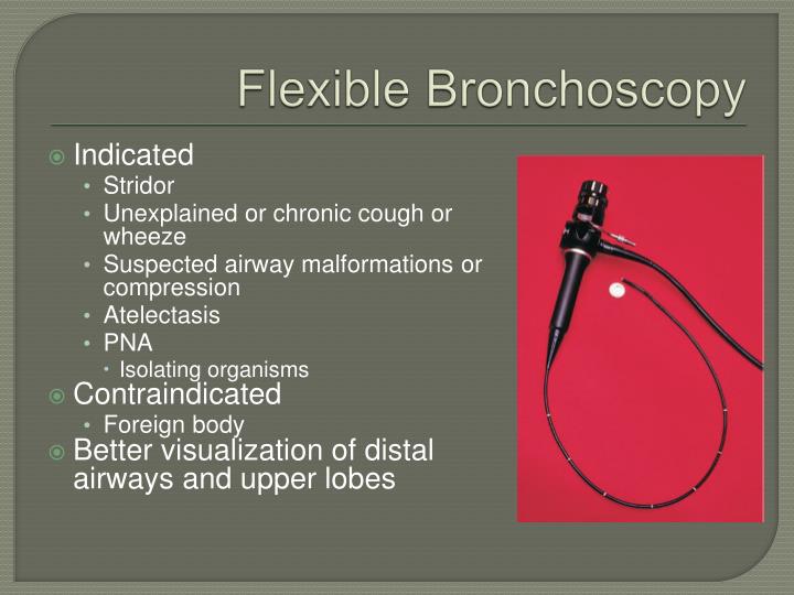 PPT - Cystic Fibrosis PowerPoint Presentation - ID:762546