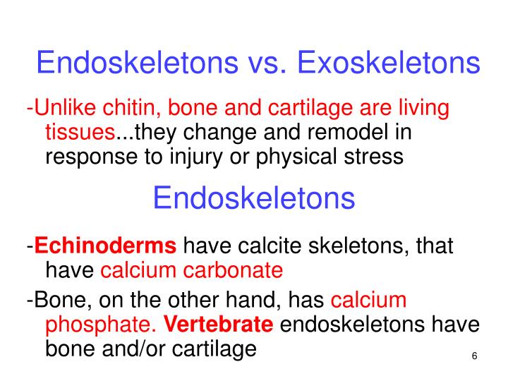 PPT - The Musculoskeletal System PowerPoint Presentation - ID:763163