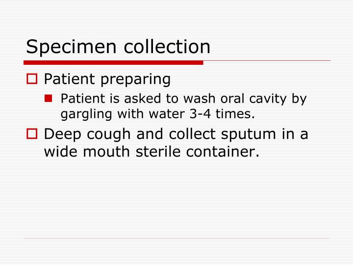 PPT - Sputum Culture and Throat Swab PowerPoint Presentation - ID:763397