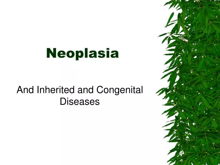 PPT - Neoplasia PowerPoint Presentation, free download - ID:763971