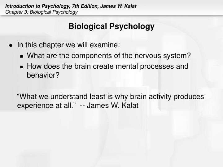 PPT - Chapter 3 Biological Psychology PowerPoint Presentation - ID:765790