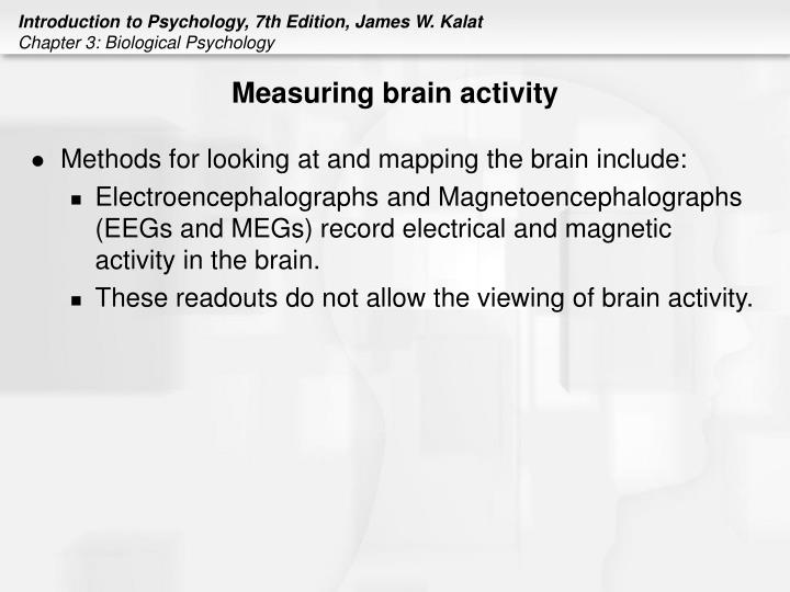 PPT - Chapter 3 Biological Psychology PowerPoint Presentation - ID:765790