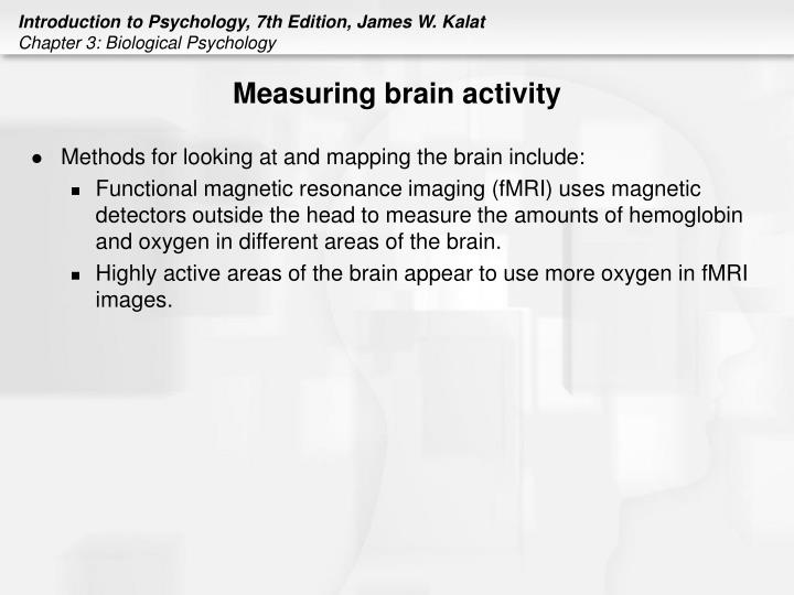 PPT - Chapter 3 Biological Psychology PowerPoint Presentation - ID:765790