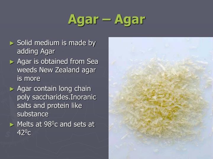 PPT - Bacterial culture Media PowerPoint Presentation - ID:7661