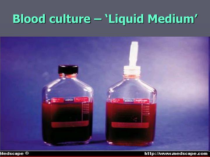 PPT - Bacterial culture Media PowerPoint Presentation - ID:7661