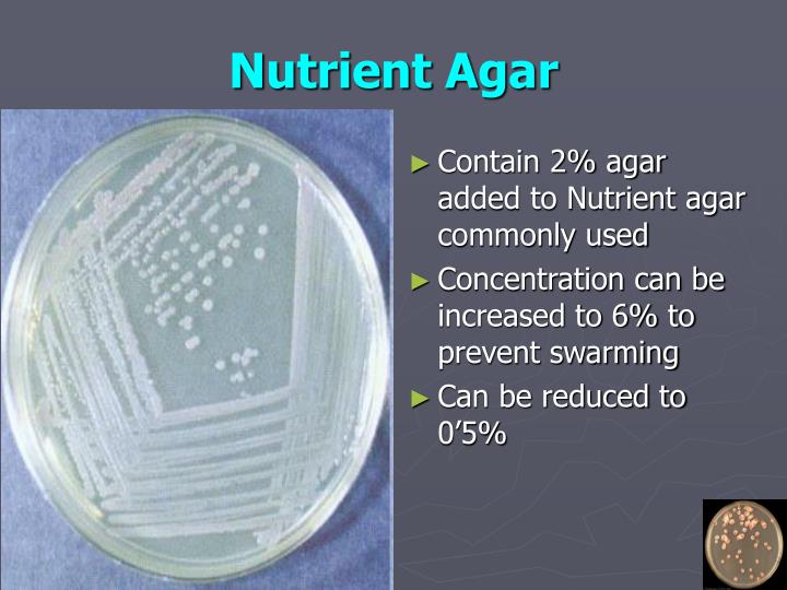 PPT - Bacterial culture Media PowerPoint Presentation - ID:7661