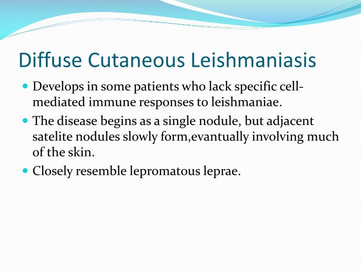 PPT - LEISHMANIASIS PowerPoint Presentation - ID:766342