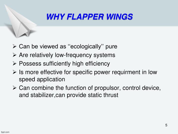 PPT - FLAPPING WING PowerPoint Presentation - ID:767090