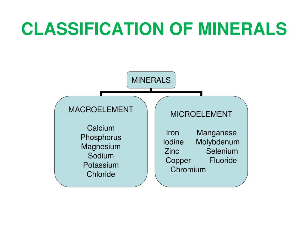 PPT - INTRODUCTION TO HUMAN NUTRITION AND DIETETICS NTD 103 (3 UNITS ...