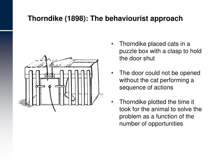 PPT - C81COG: Cognitive Psychology 1 PowerPoint Presentation - ID:767454