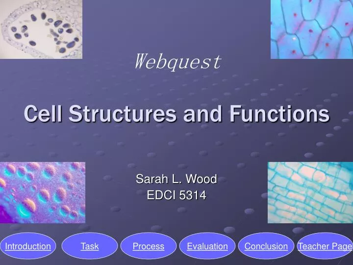 Ppt Cell Structures And Functions Powerpoint Presentation Free