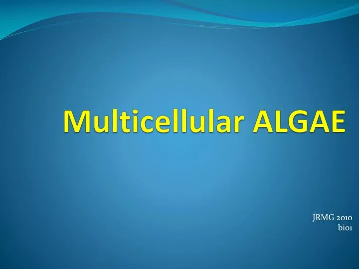 PPT - Multicellular ALGAE PowerPoint Presentation, free download - ID ...