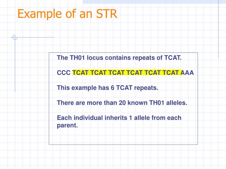PPT - Forensic DNA Analysis PowerPoint Presentation - ID:771049