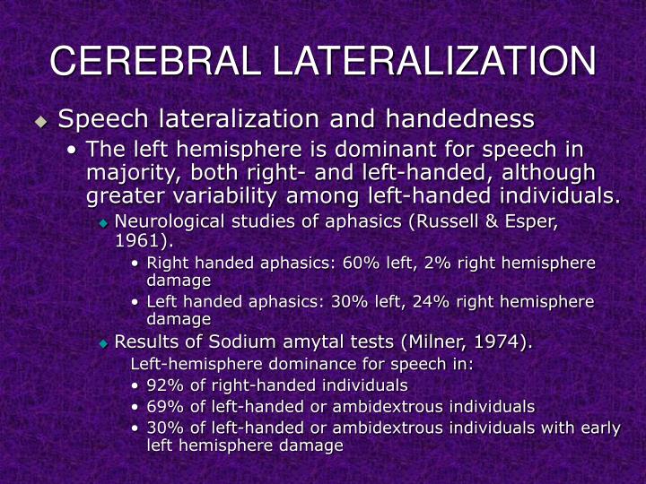 PPT - BRAIN LATERALIZATION LANGUAGE AND COGNITION PowerPoint ...