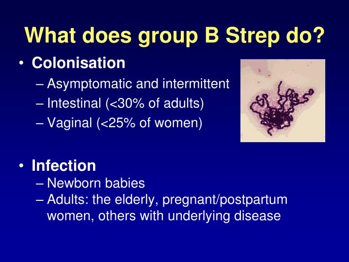 PPT - Group B Strep in pregnancy & newborn babies 25 th January 2012 ...