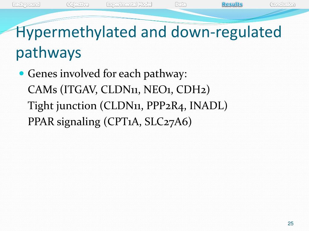 PPT - Exploring the role of DNA Methylation in the development of drug ...