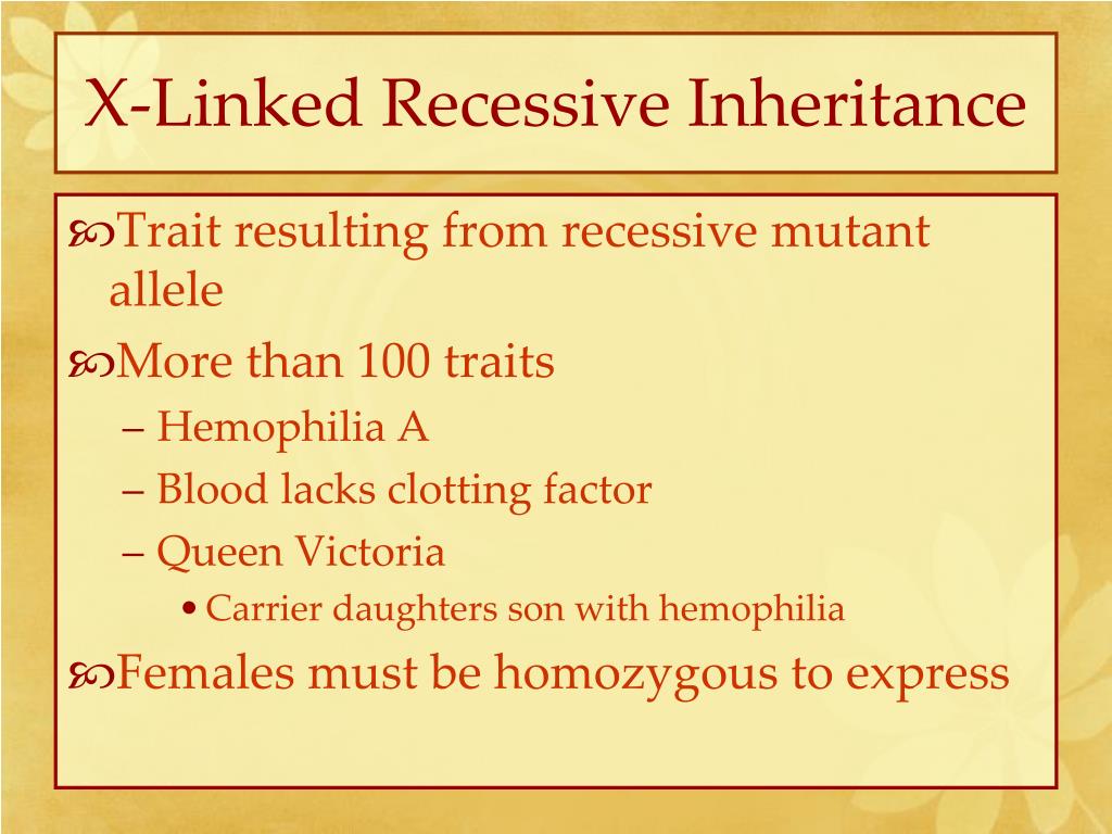 Ppt Chromosomal Basis Of Inheritance Powerpoint Presentation Free
