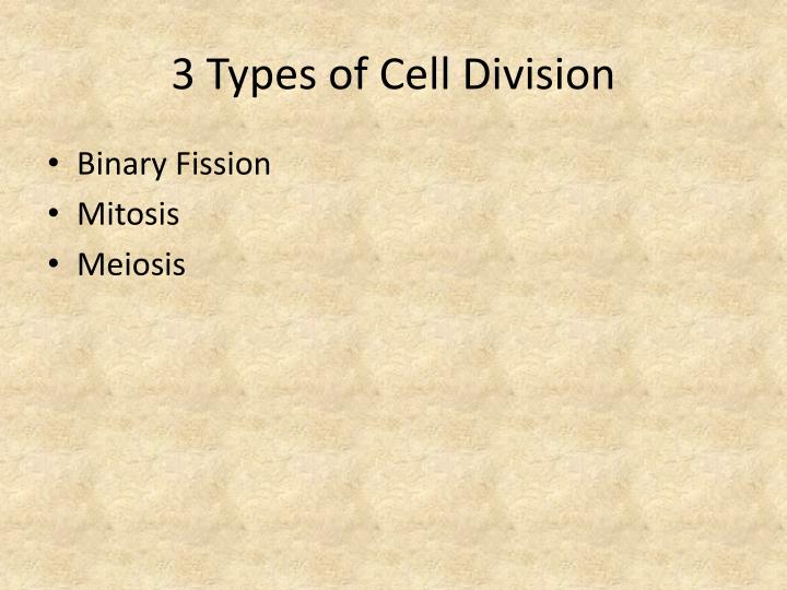 PPT - Cell Division PowerPoint Presentation - ID:779855