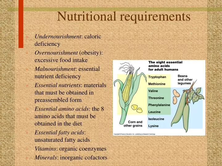 PPT - Nutritional requirements PowerPoint Presentation, free download ...