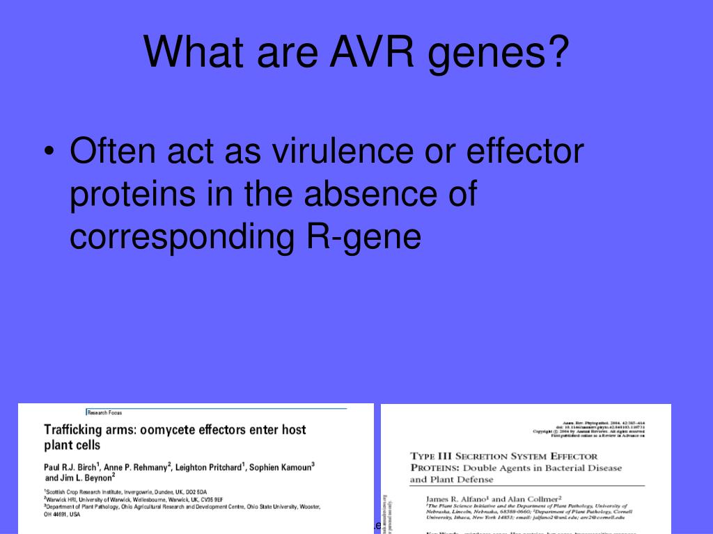 PPT - Molecular Biology of Gene-for-Gene Interaction PowerPoint ...