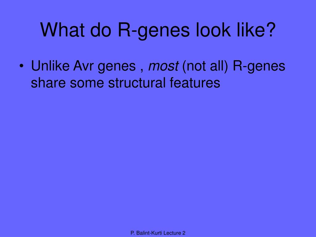 PPT - Molecular Biology of Gene-for-Gene Interaction PowerPoint ...