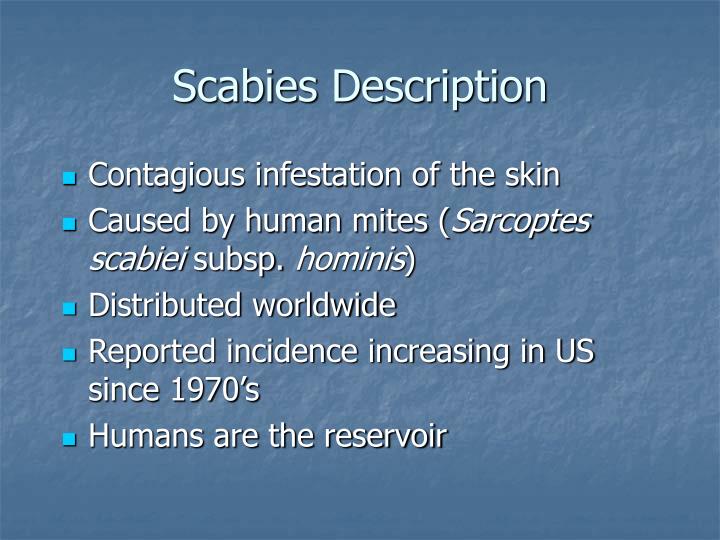 PPT - Scabies Control PowerPoint Presentation - ID:781933