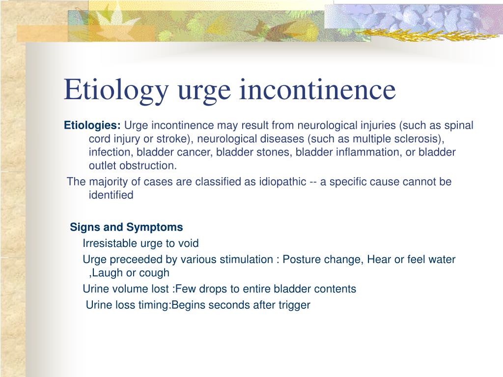 Ppt Urinary Incontinence Powerpoint Presentation Free Download Id782255