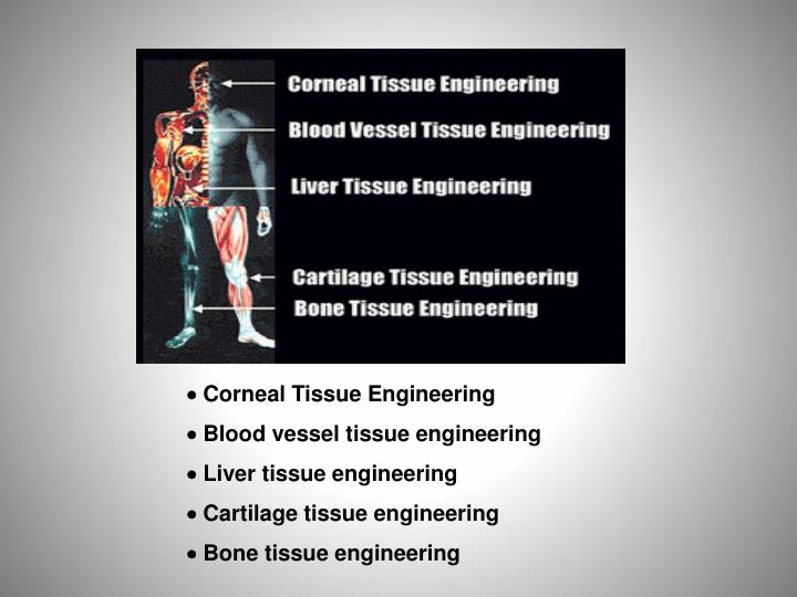 PPT - Tissue Engineering PowerPoint Presentation - ID:782634