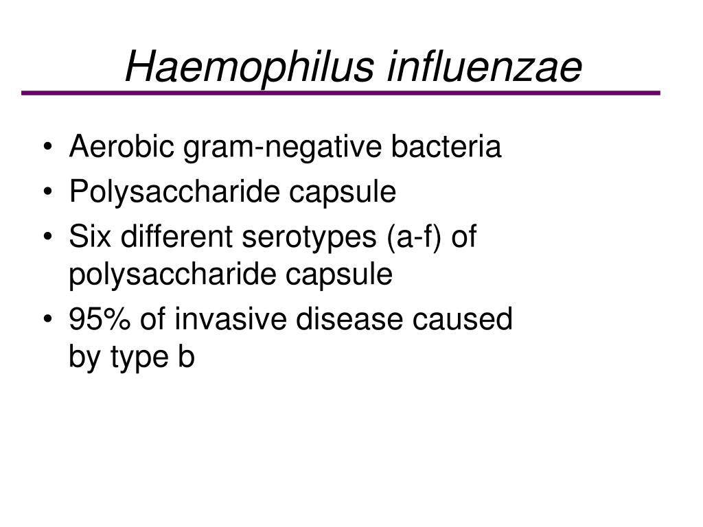 PPT - Haemophilus influenzae type B and Hib Vaccine Chapter 9 ...