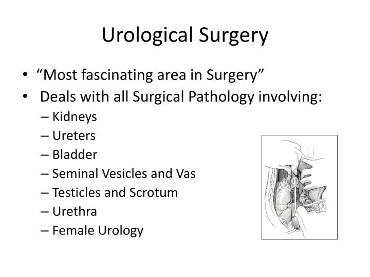 PPT - Urological Surgery PowerPoint Presentation - ID:783004