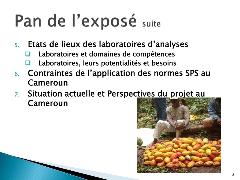 PPT - Exposé sur le thème: Vue d’ensemble de l’application des normes ...